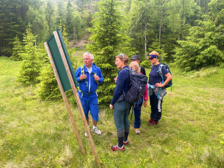 Malmveien – Kulturvandring i frodig natur - Eikernytt.no